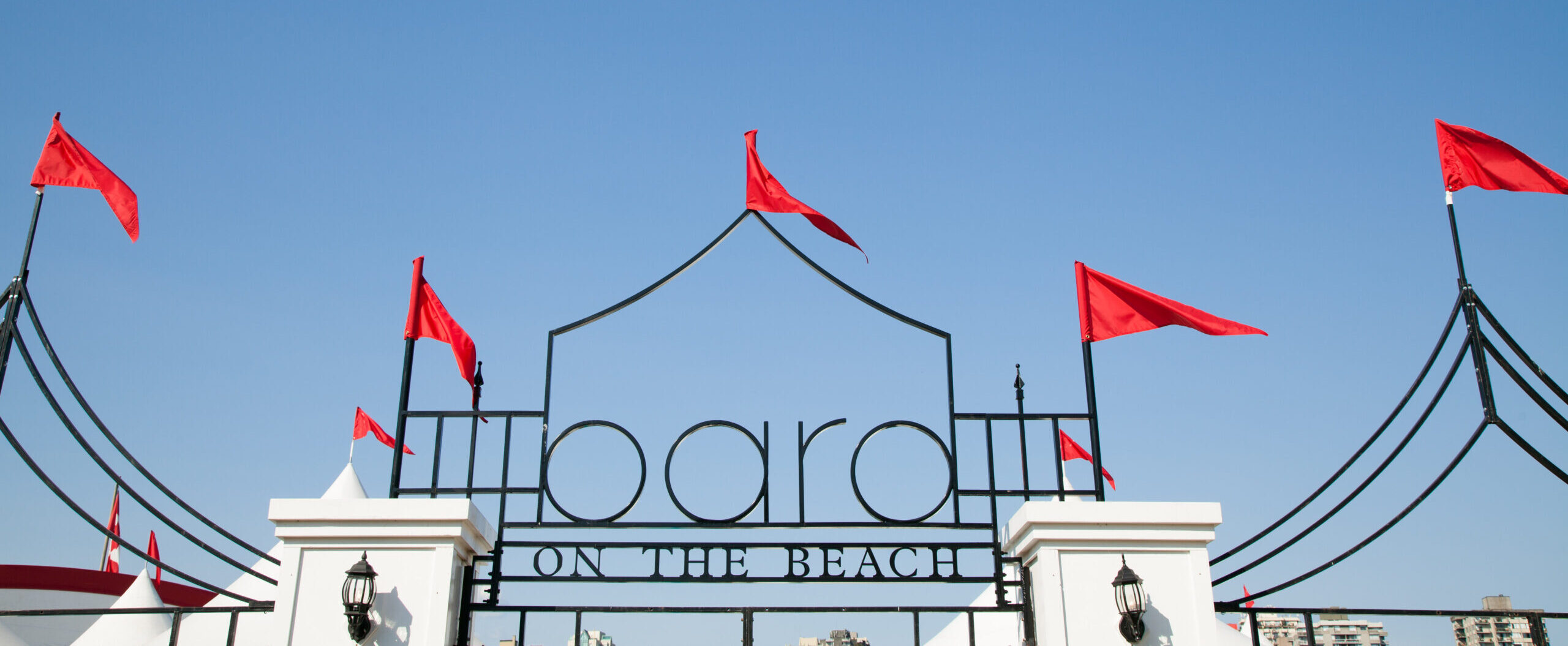 Bard Debut Series: Volunteers, Part One | Bard on the Beach