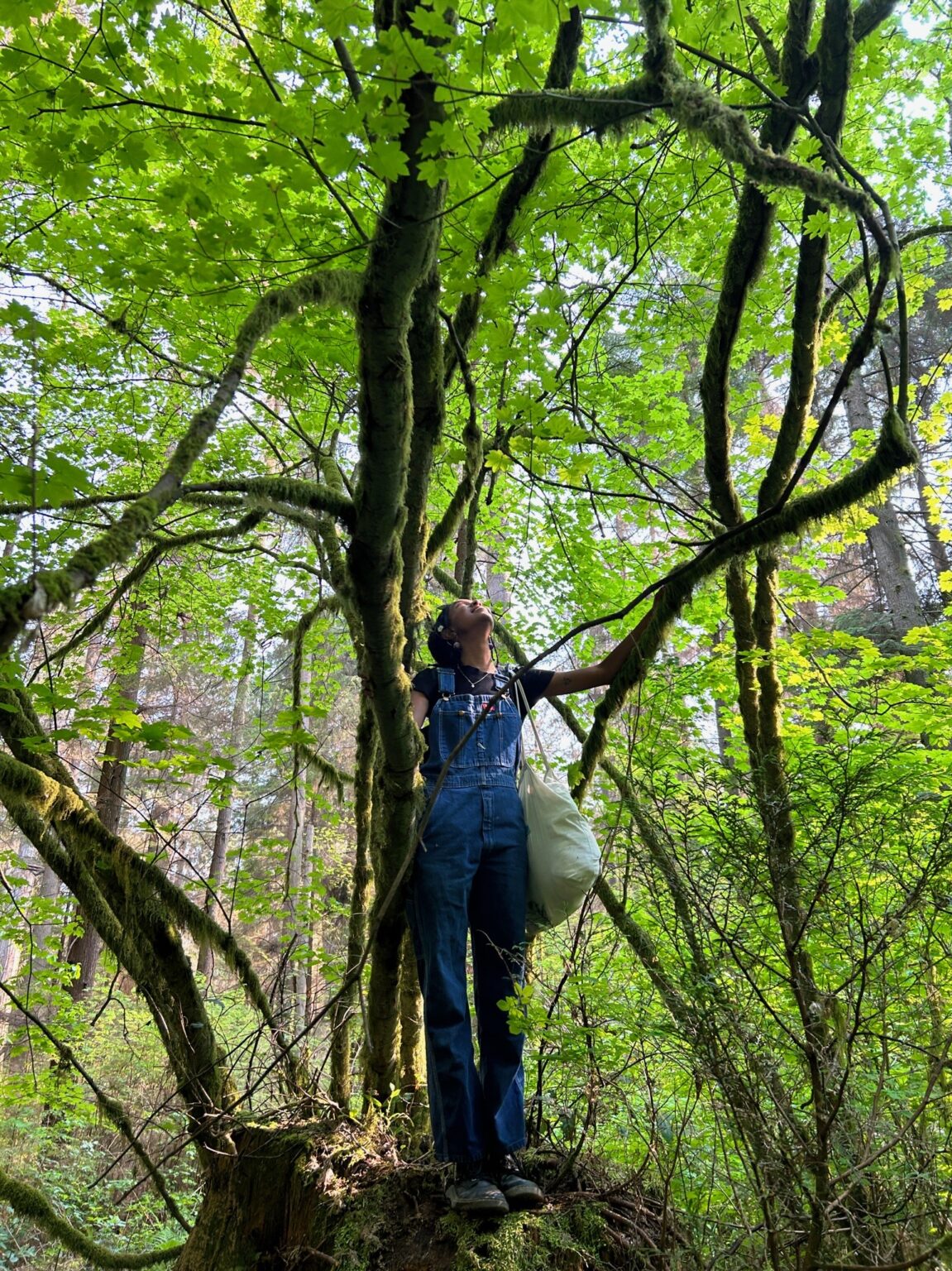 Bard Debut Series – 2023 Acting Company | Bard on the Beach